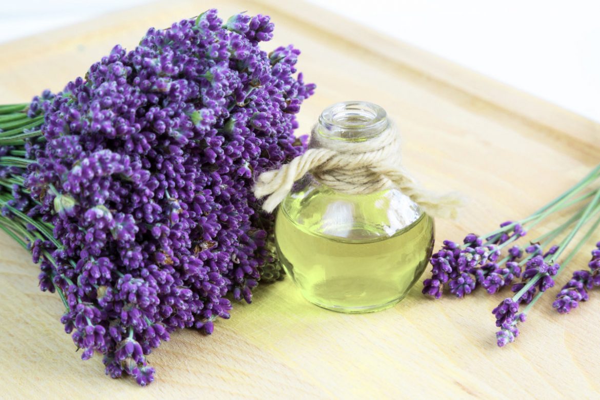 Pure Lavender Essential Oil Explained - Ruistars