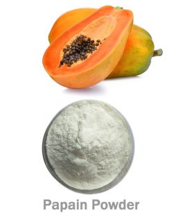 Papain Powder 100% Natural Papaya Extract - Ruistars